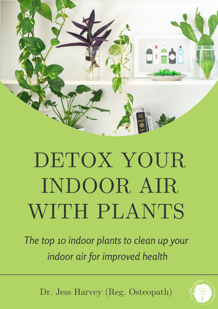 The Top 10 Plants To Detox Your Indoor Air - Osteopathy in Springwood ...